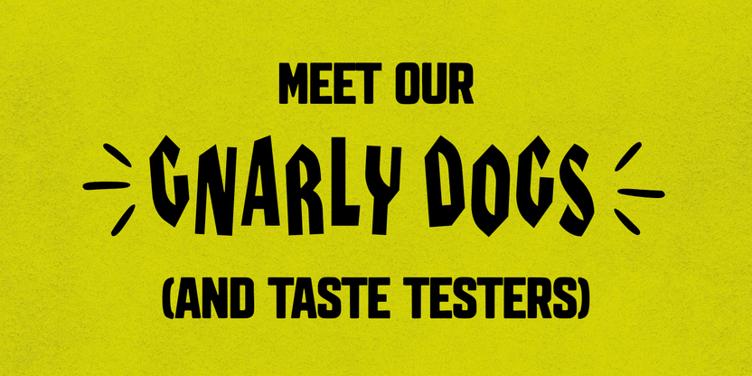 About – Gnarly Pets